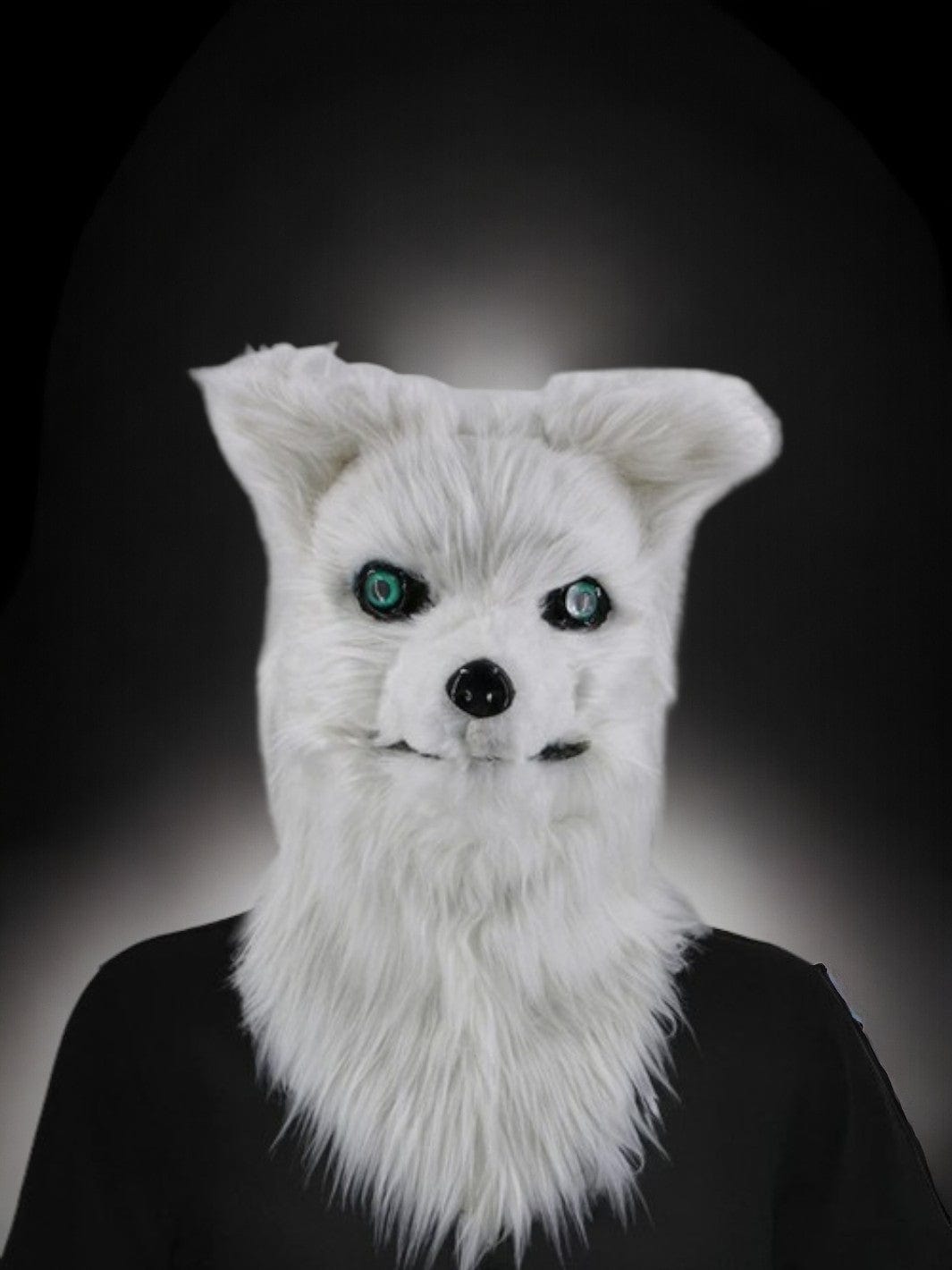 Masque Loup Blanc – L'Univers Masqué