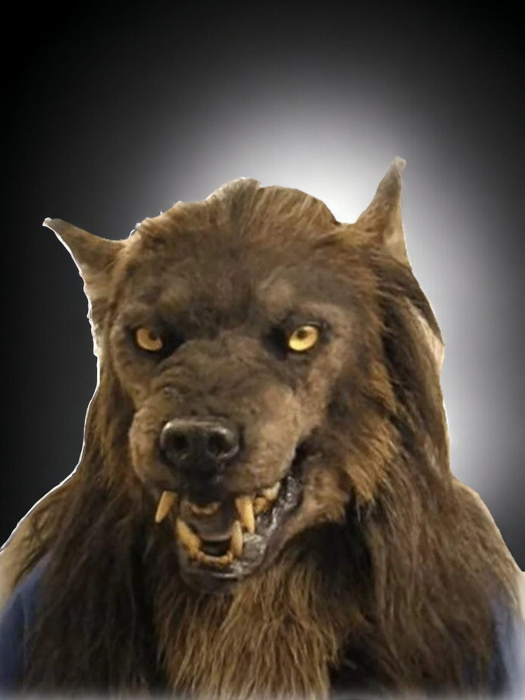 Masque Loup Brun – L'Univers Masqué